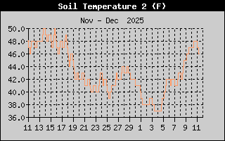 Monthly Weather Graphs